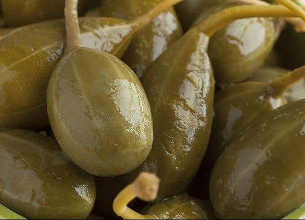 Kapari - TÜRKilleri.com